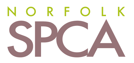Norfolk SPCA | Finding Forever Homes