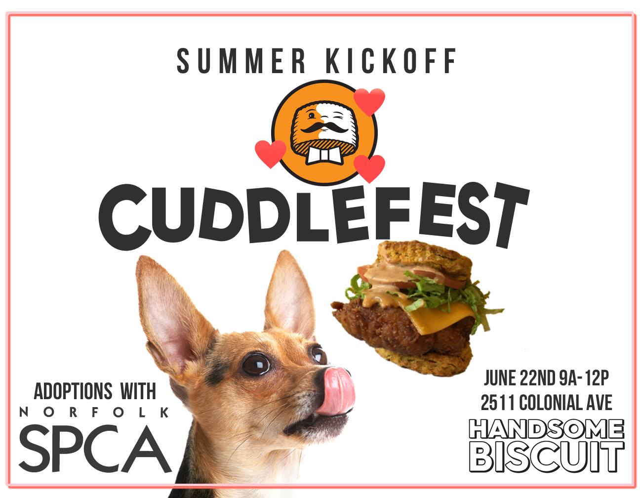 Summer Kickoff Cuddlefest – Handsome Biscuit | Norfolk SPCA