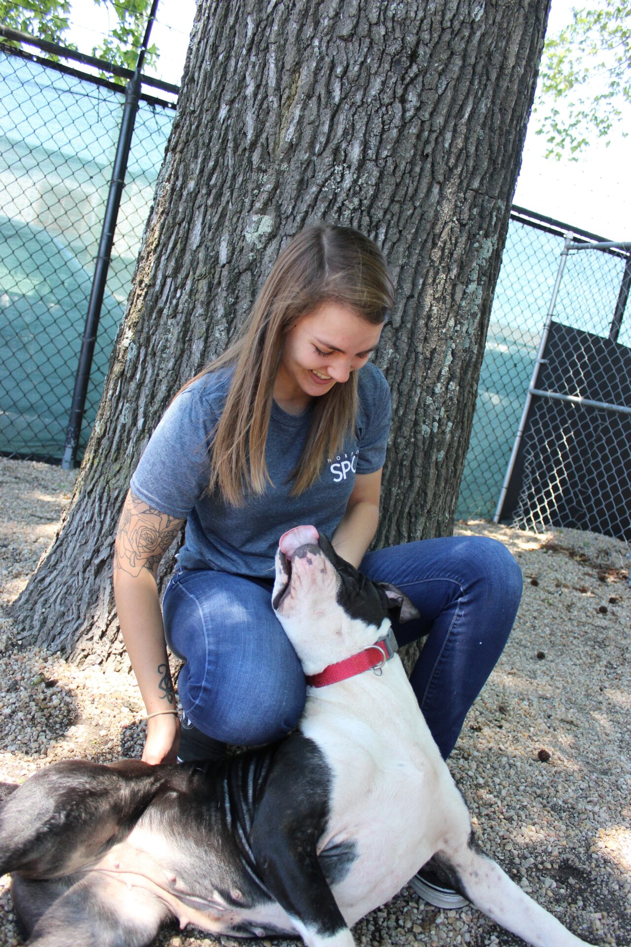 Contact Us | Norfolk SPCA