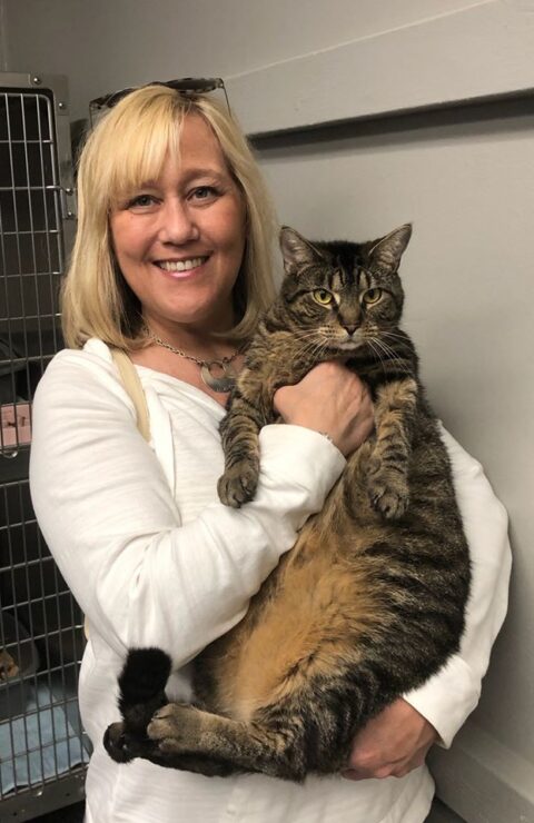 Programs | Norfolk SPCA