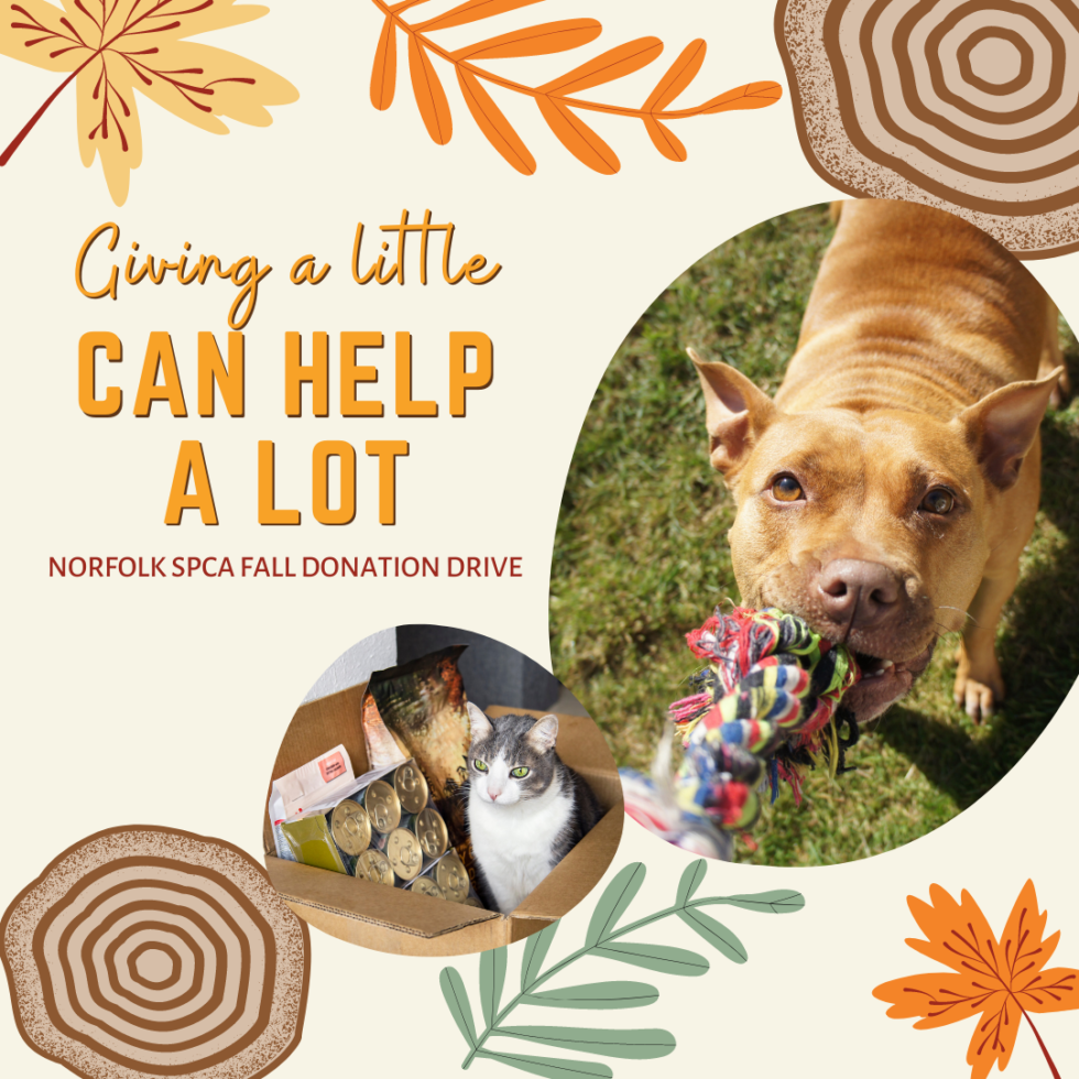 Fall Donation Drive | Norfolk SPCA